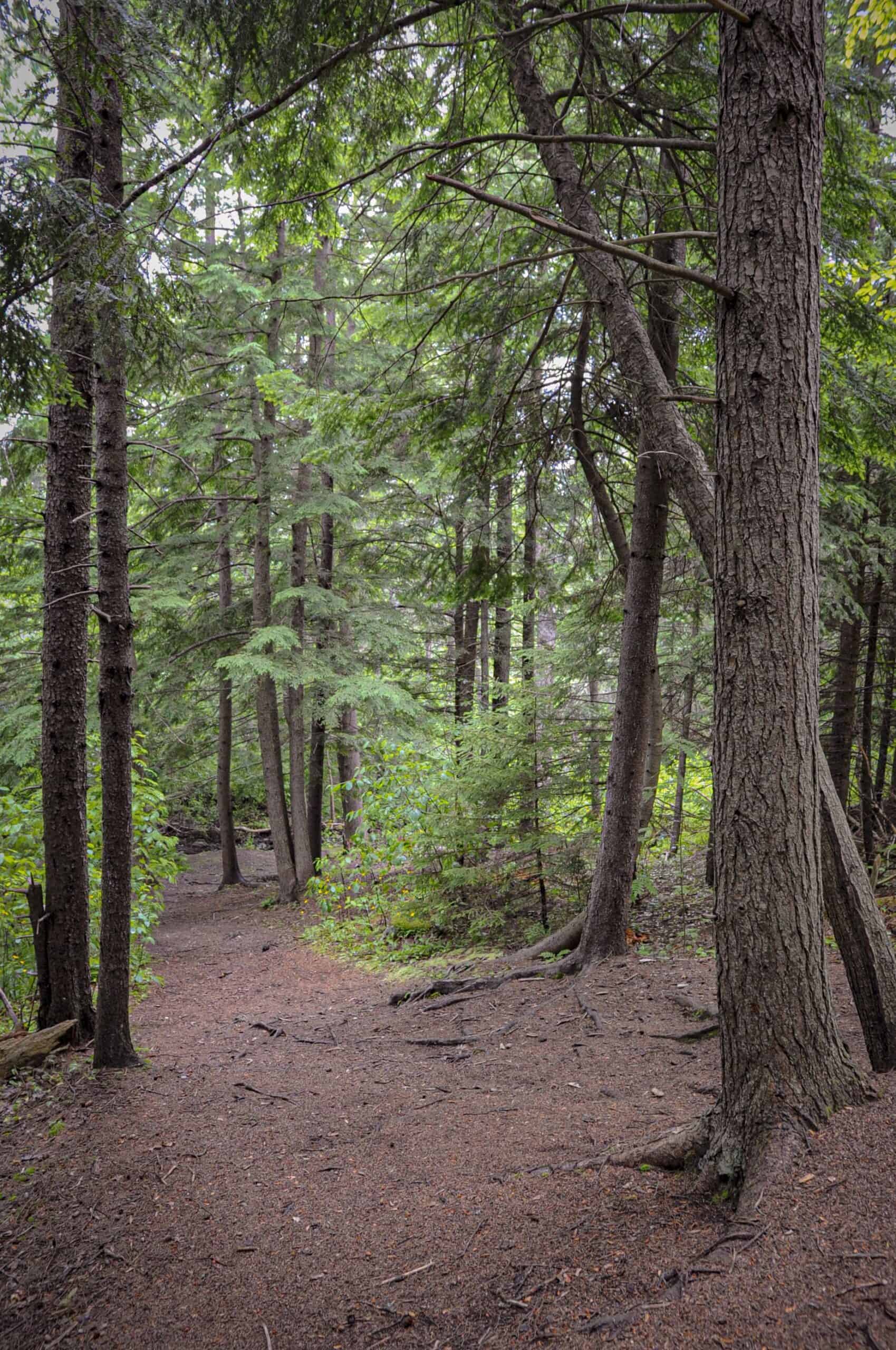 Acadia Woodland Trails – K.C. Irving Environmental Science Centre and ...