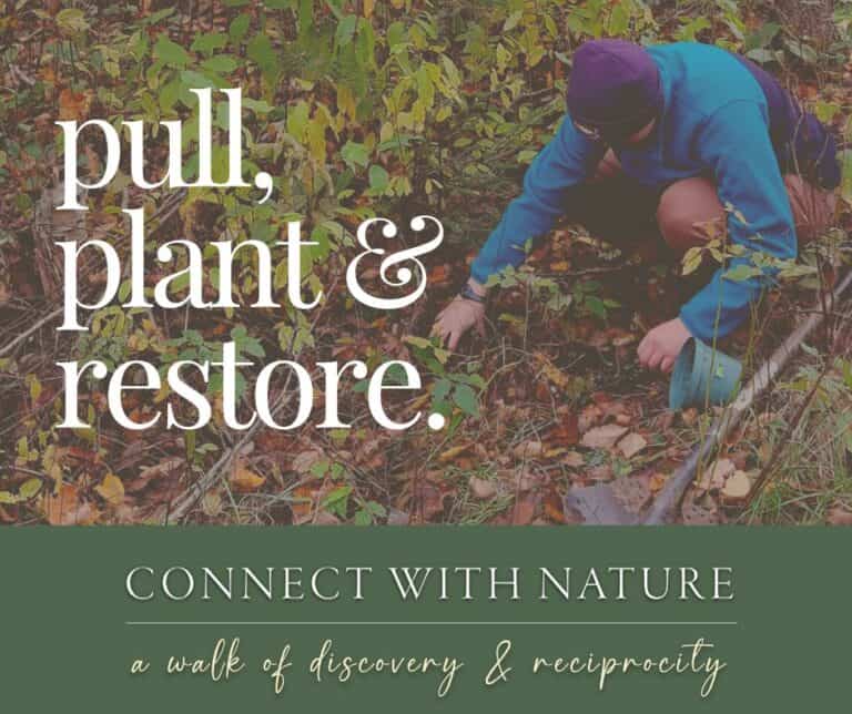 You’re invited to Connect with Nature during a Walk of Discovery and ...