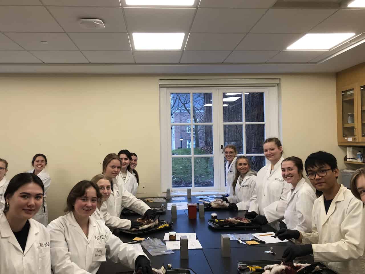 Exploring environmental science: Hands-on seabird dissections provide ...